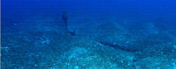 Veel minder leven onder zeebodem dan gedacht | KIJK Magazine